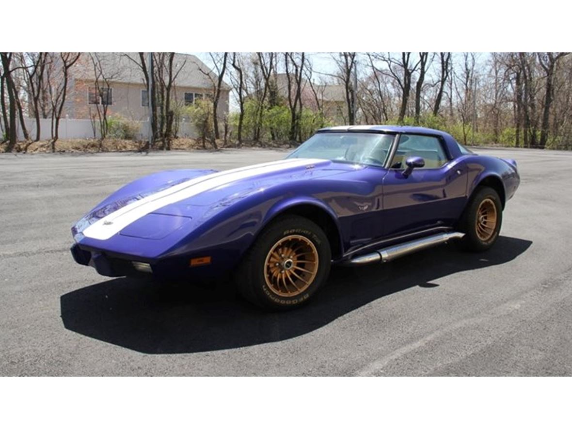 1979 Chevrolet Corvette - Antique Car - Philadelphia, PA 19115
